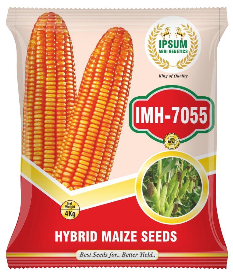 Vegetable Crops - Ipsum Seeds